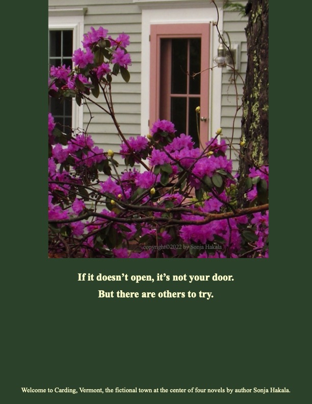 Of Doors and Opportunity | Sonja Hakala