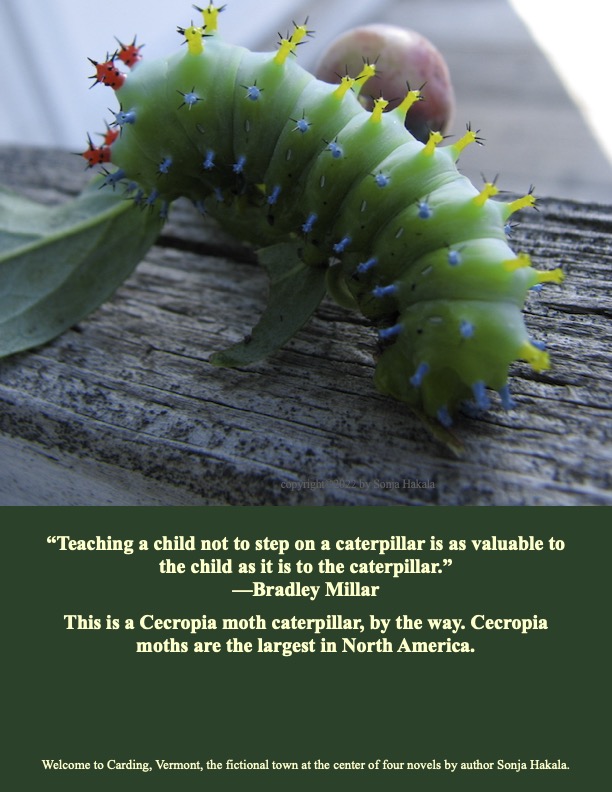 Teach Your Children Well | Sonja Hakala