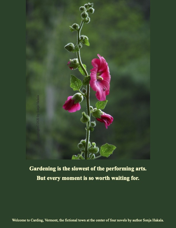 S-L-O-W | Sonja Hakala