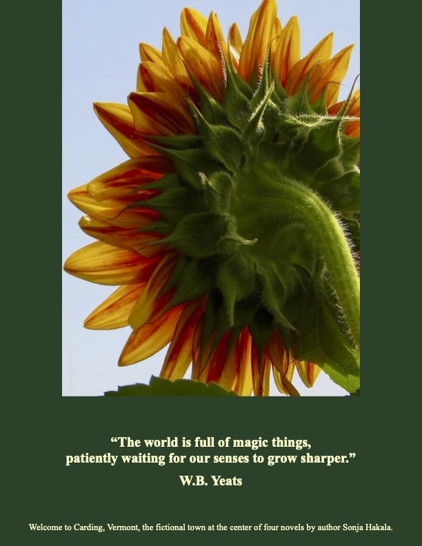 Helios | Sonja Hakala