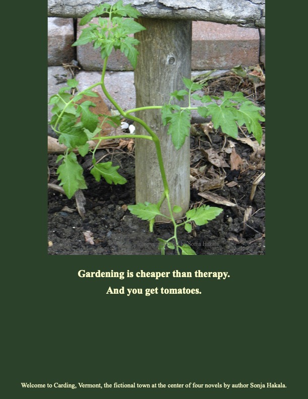 Tomato Therapy | Sonja Hakala