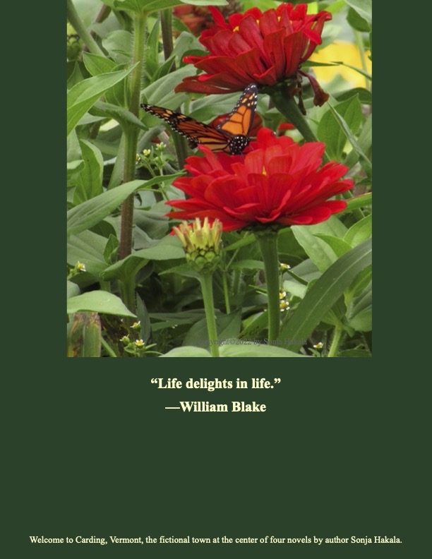 Gardening in December | Sonja Hakala