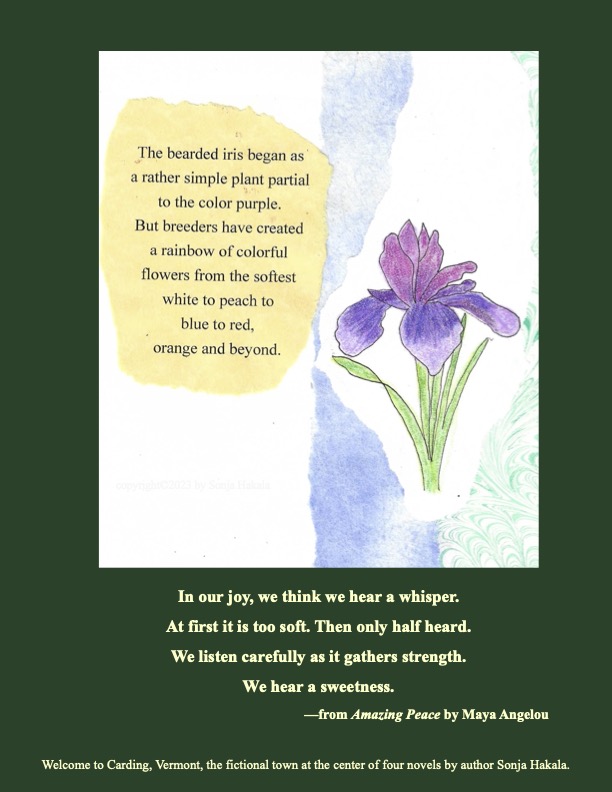 Amazing Peace | Sonja Hakala