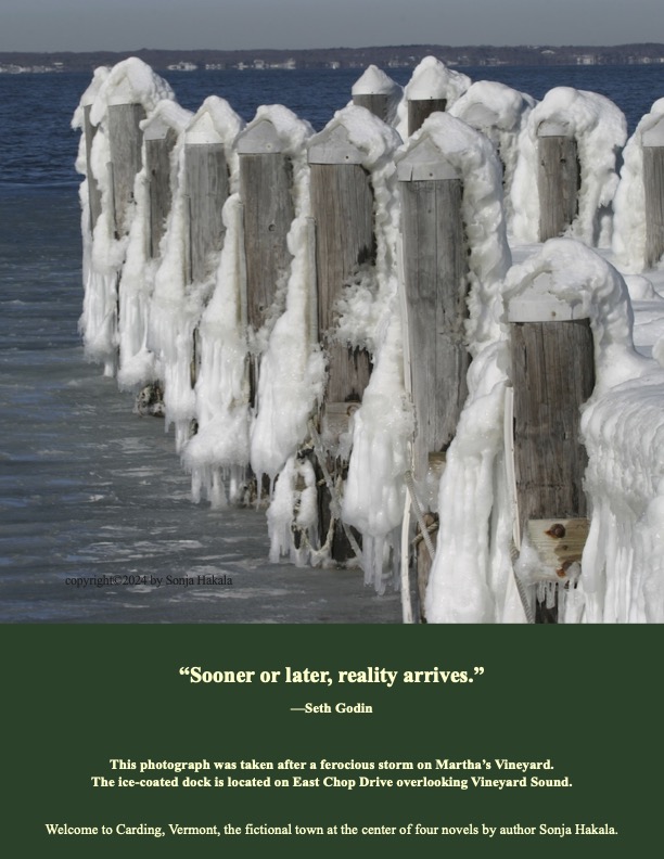 The Reality of Ice | Sonja Hakala