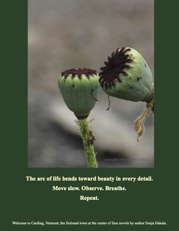 Details | Sonja Hakala