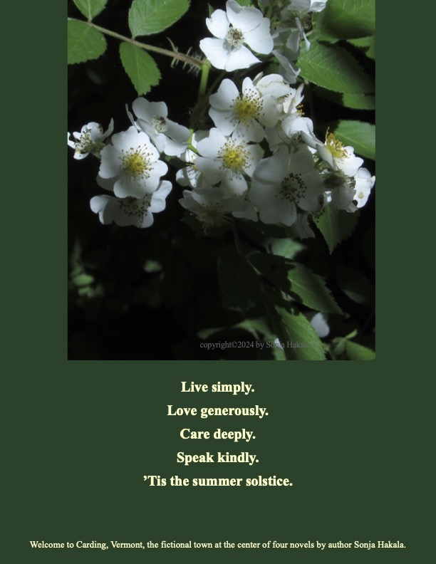 Summer Arrives | Sonja Hakala