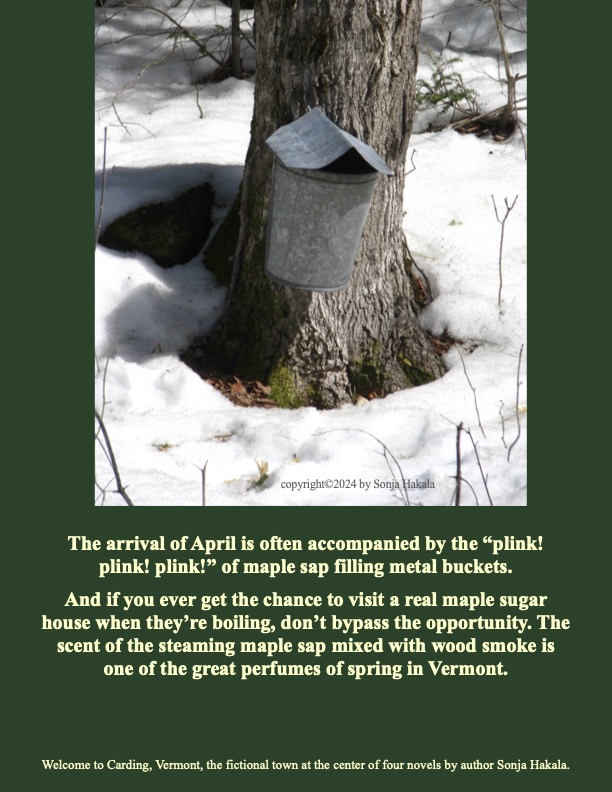 Plink! | Sonja Hakala