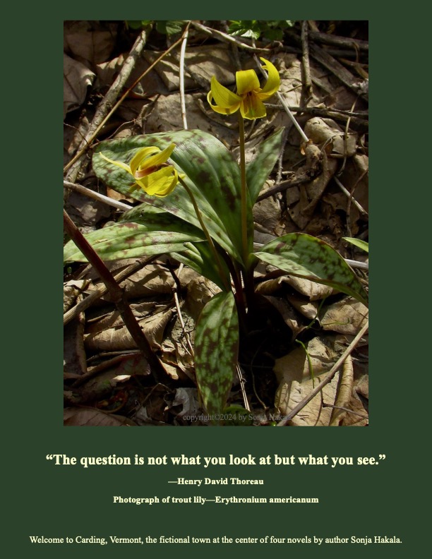 First Up! | Sonja Hakala