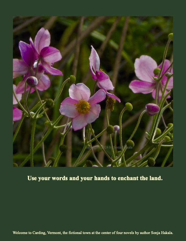 Enchant | Sonja Hakala