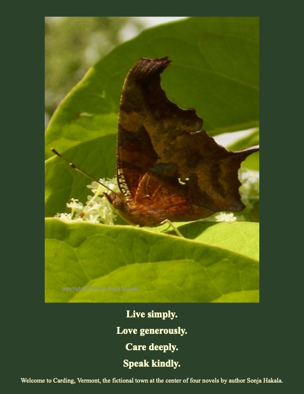 The Butterfly’s Truth | Sonja Hakala