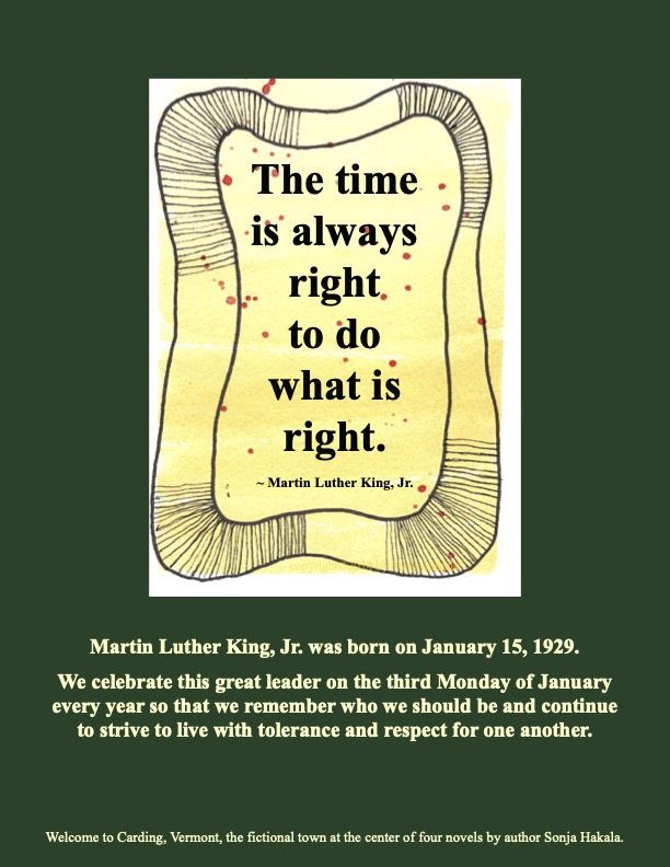 We Will Not Go Back | Sonja Hakala