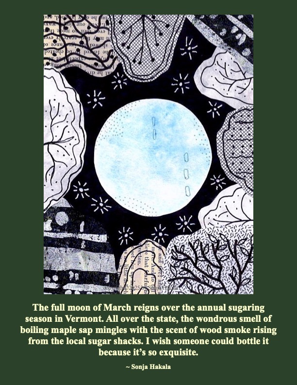 A Rising Moon Among Bare Trees | Sonja Hakala